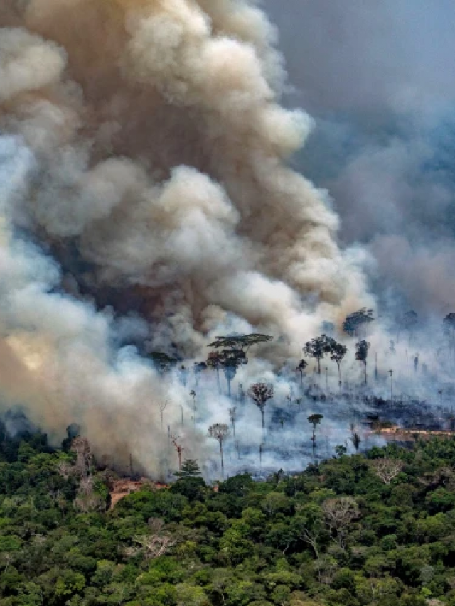 Amazon’s worst-in-a-decade August wildfires captured in pictures – Zoom ...