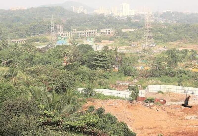 One-fifth of Mumbai's Aarey Colony land to be reserved as forest