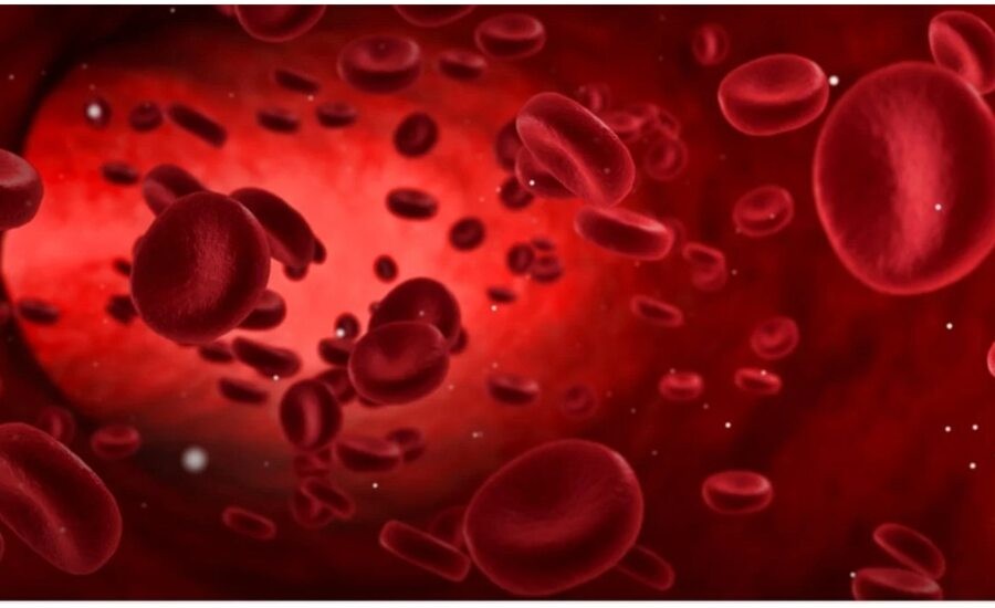 Knowledge rh null blood group is golden blood group rarest blood group ...