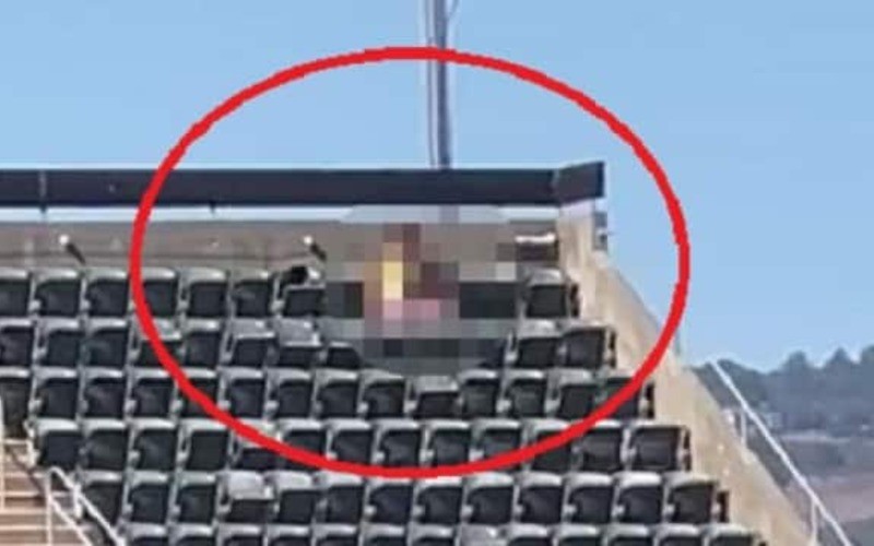 Couple intimate inside sports stadium during live match of baseball