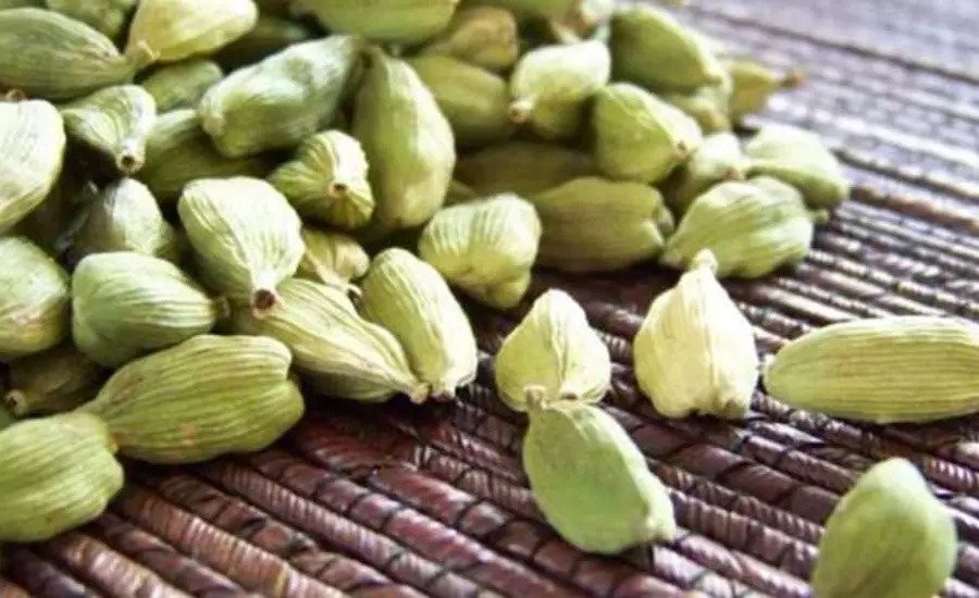 Elaichi benefits astrology cardamom remedy dhan prapti ke liye elaichi ...