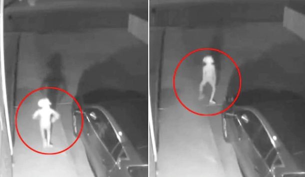 Security Camera Captures Elf-Like Creature. 30 Million Views For ...