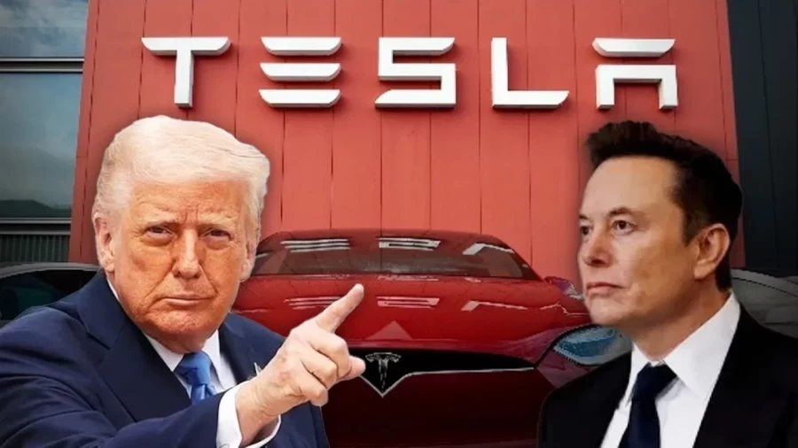 Tesla sales jump 14% in the UK | Elon Musk News