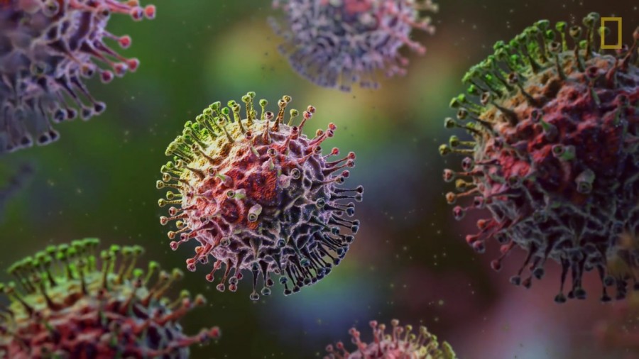 H3N2 Virus Symptoms : H3N2 virus is spreading rapidly in the country ...