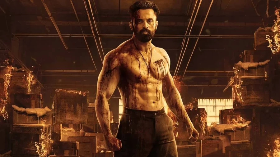 This film swallowed 'Baby John' | Marco Movie