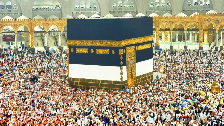 Mecca Hajj pilgrims death: How did more than 550 pilgrims die during the Haj pilgrimage to Mecca?