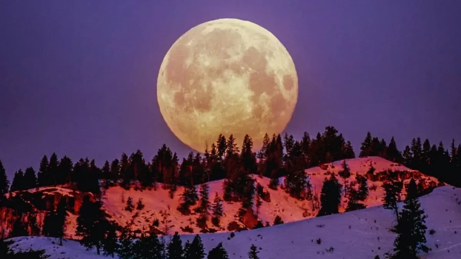 Land on Moon: After all, who is the owner of the moon, who sells the ...