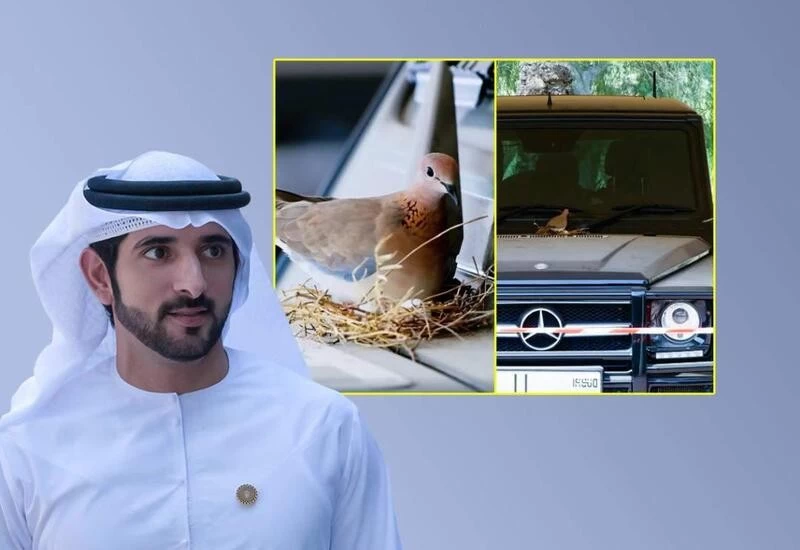 Dubai Prince Car Collection