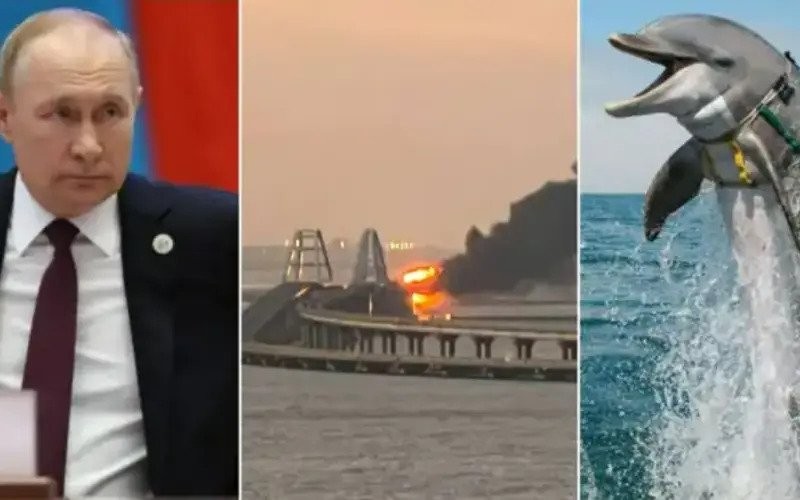 Crimea Bridge Blast Military Dolphins by Russia Putin cant save bridge ...