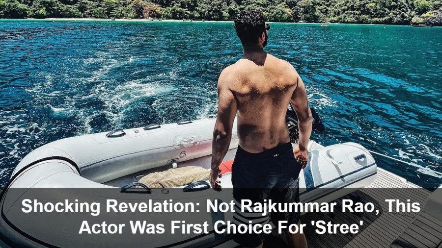 Stree: Vicky Kaushal Was First Choice, Not Rajkummar Rao