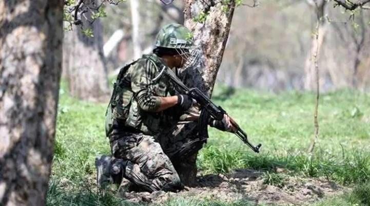 2 terrorists killed in encounter in Kashmir's Hyderpora