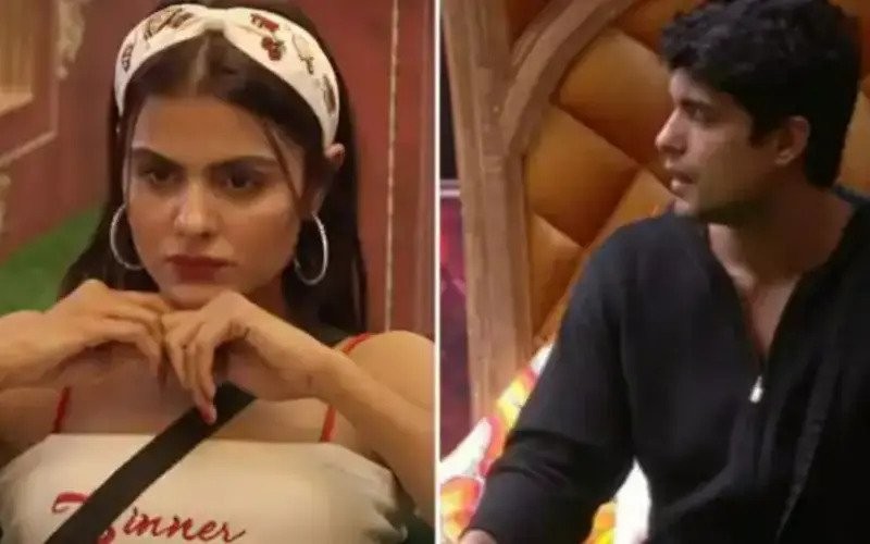 Priyanka chahar choudhary and ankit gupta breakup due to shalin bhanot