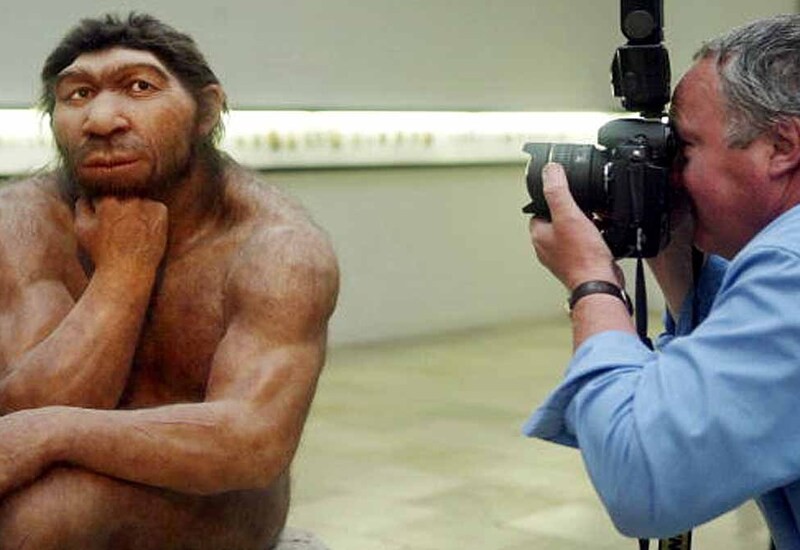 Modern humans are only 1.5% homo sapiens, the remaining 98.5% still ...